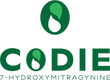 Codie Labs